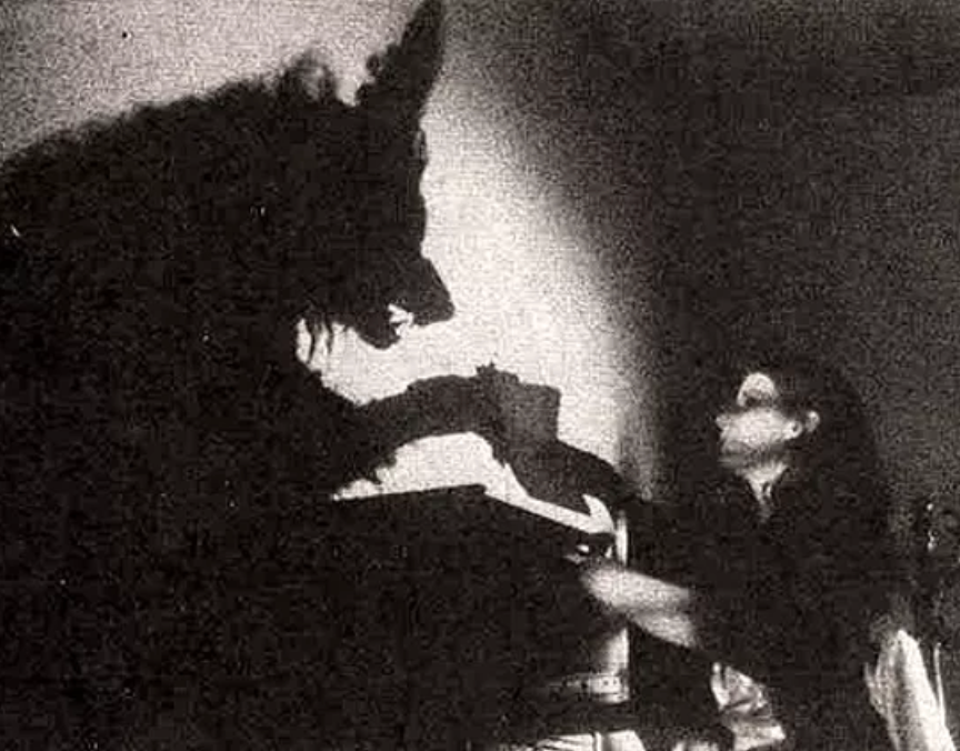 The Difference Between Existentialism, Nihilism, and Absurdism | by ...