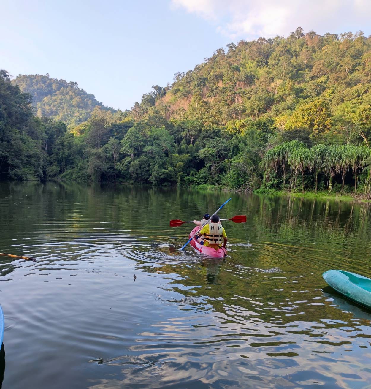 นกเหงือกบนเกาะพยาม - Sunate kob - Medium