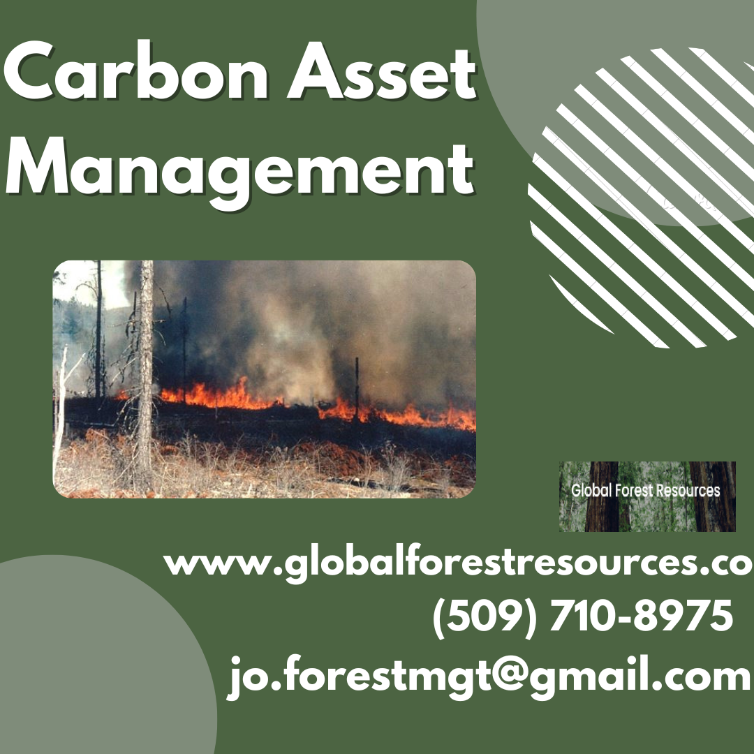 Carbon As An Add Not An Odd : Global Forest Resources | by Global ...