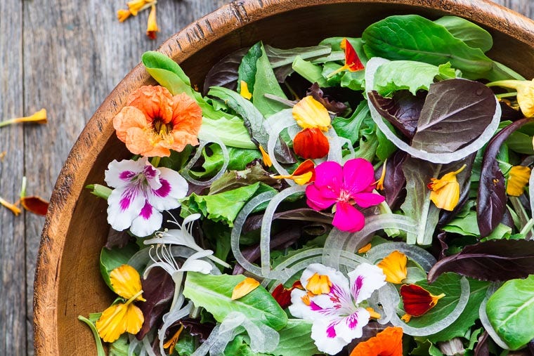 The Alphas Produce Company & The Global Rise of the Plant-Based ...