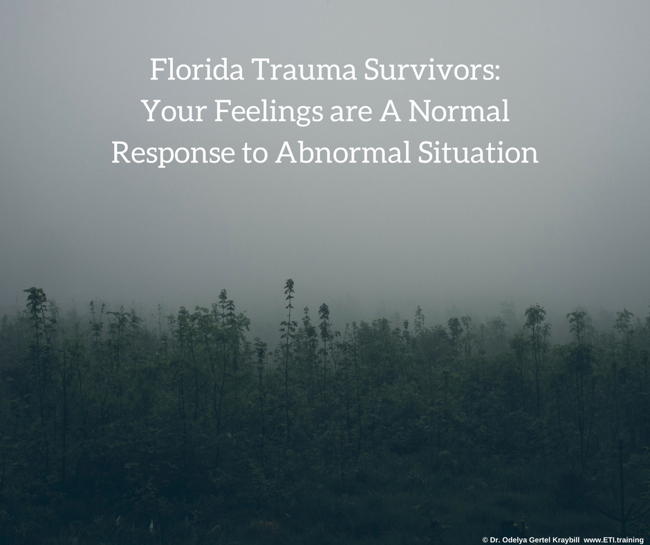 Why self-care plan is crucial to trauma therapy | by Odelya Gertel ...