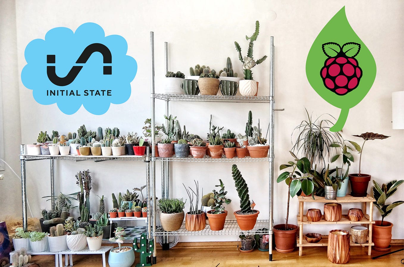 Build an Inexpensive Network of Web-Connected Temperature Sensors using Pi Zeros | by Initial ...