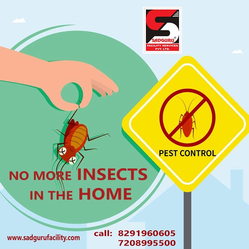 Pest Control Services in Malad — Sadguru Facility | by Sadguru Facility ...