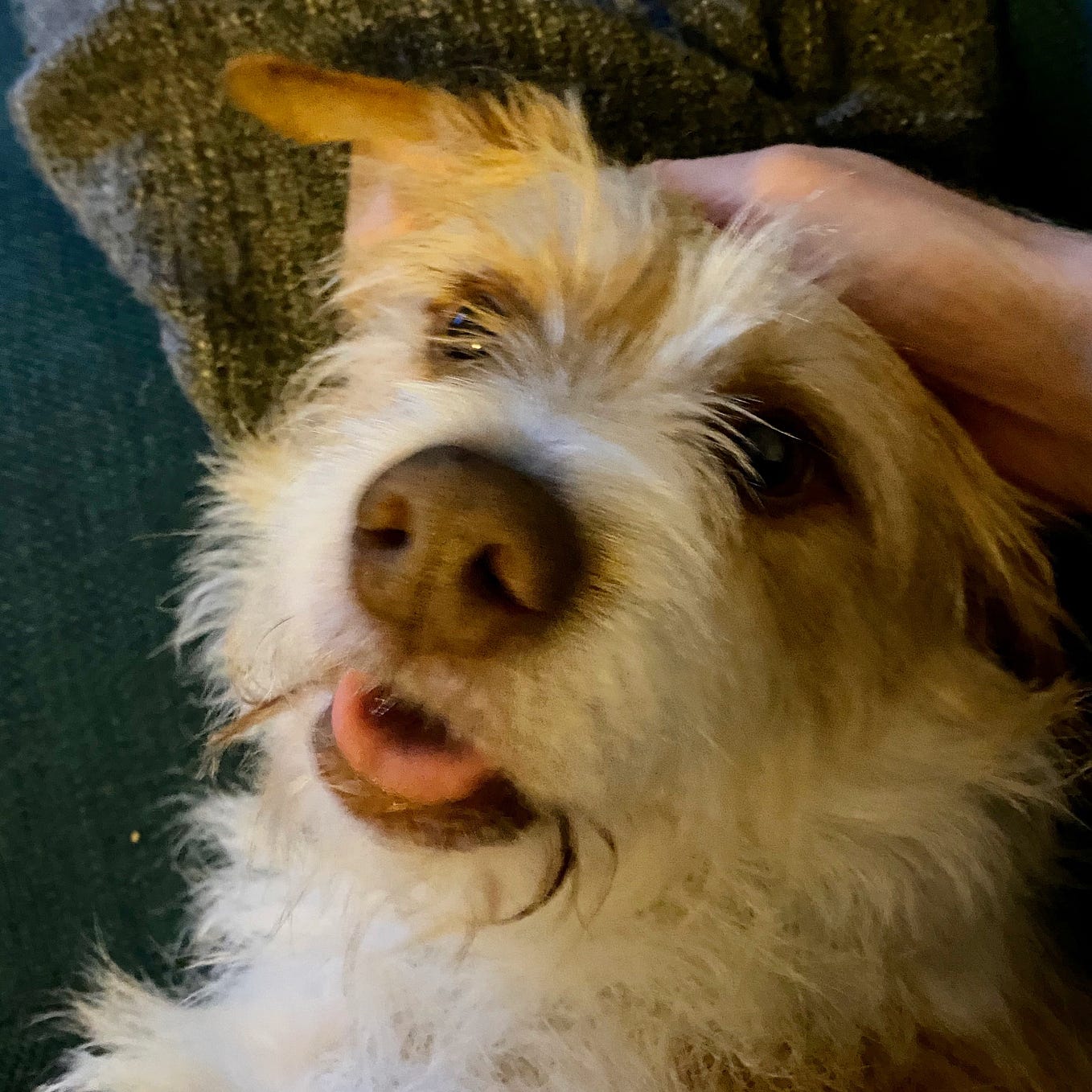 Facebook overhauling News Feed is actually good for social media ...