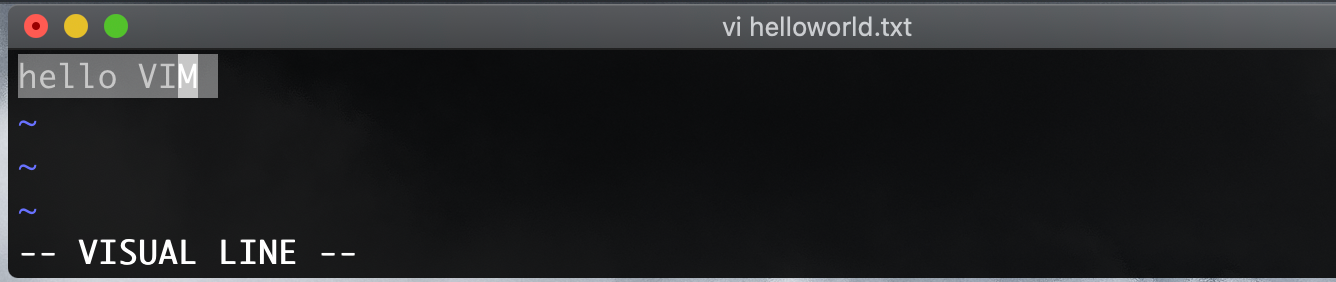 ASP.NET Core Scaffold MySQL Database with EF Core | by Wara | Medium