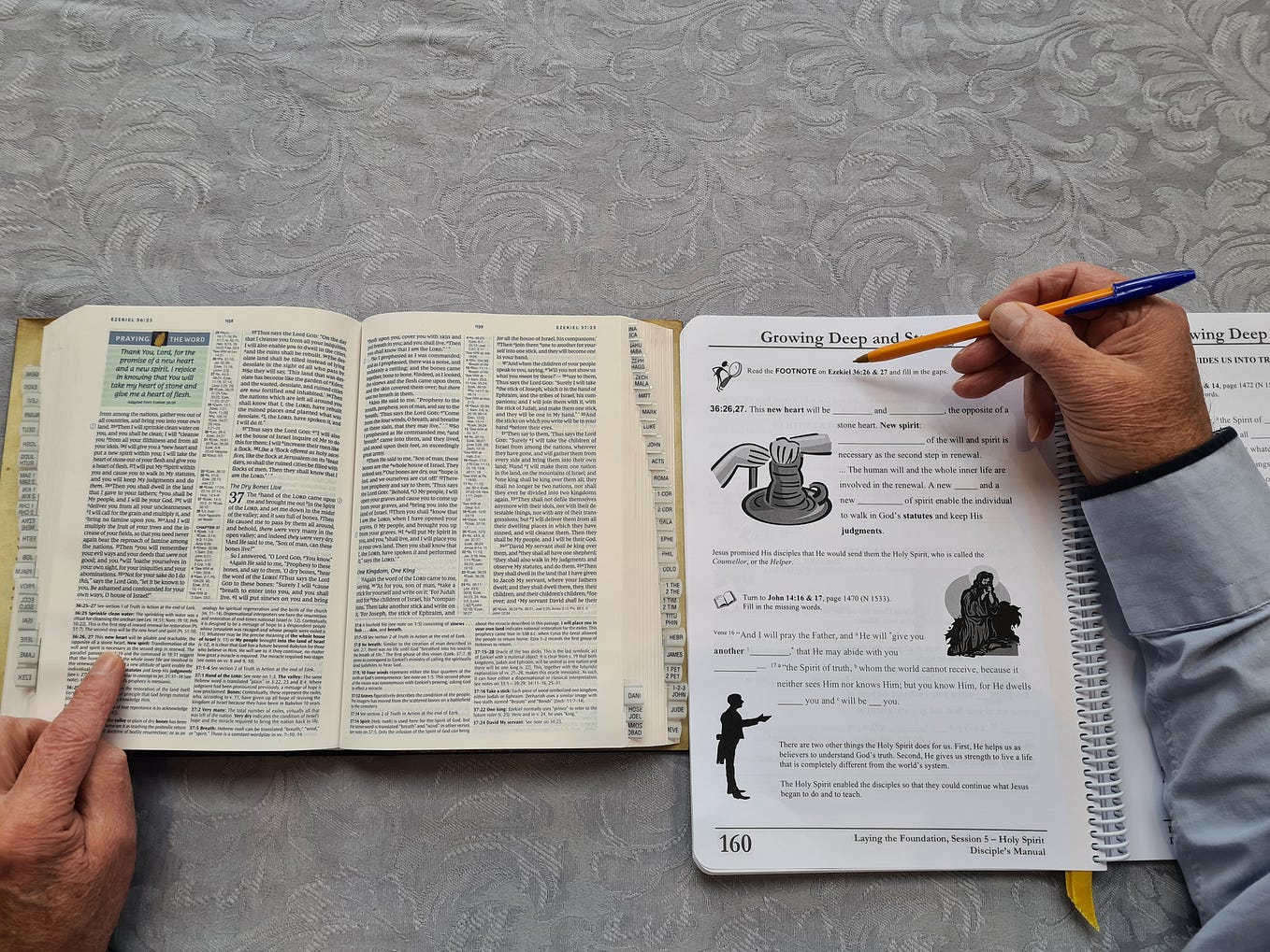 Christian Bible Study Discipleship - Growing Deep And Strong® - Medium