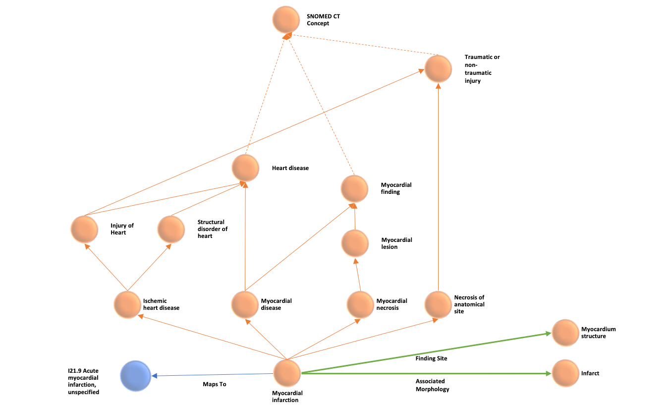 Healthcare Terminology Systems Explained (part 2) | by Tim Williams ...