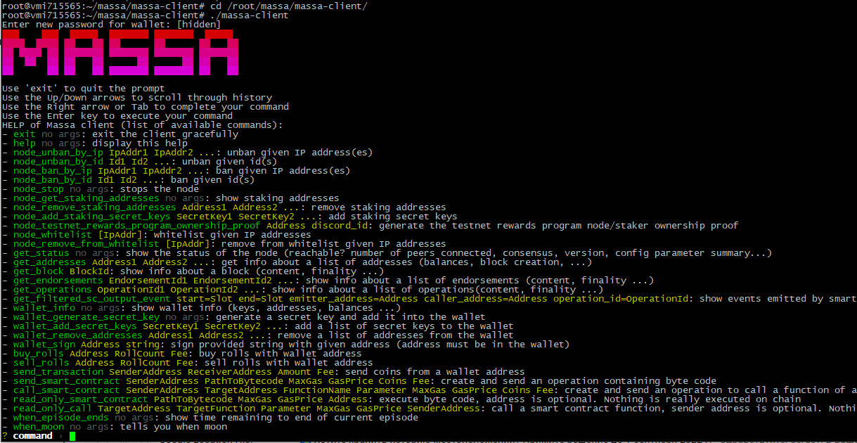 Installing the Massa node from the official binaries | by Kansas city shuffle | Medium