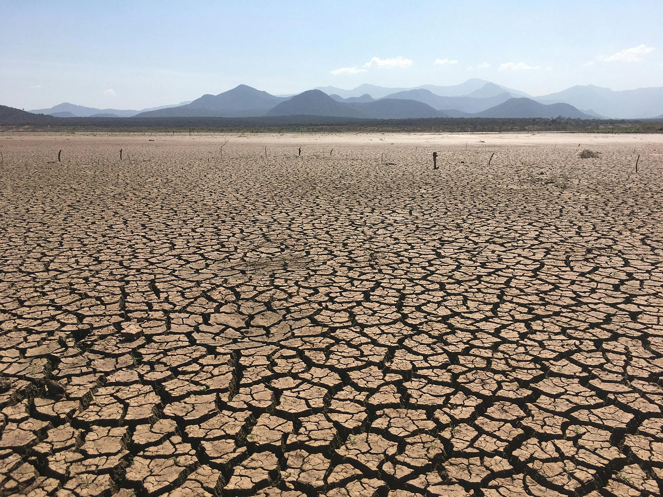 When Plans Shift: The High Stakes of Climate Innovation | by Nicole ...