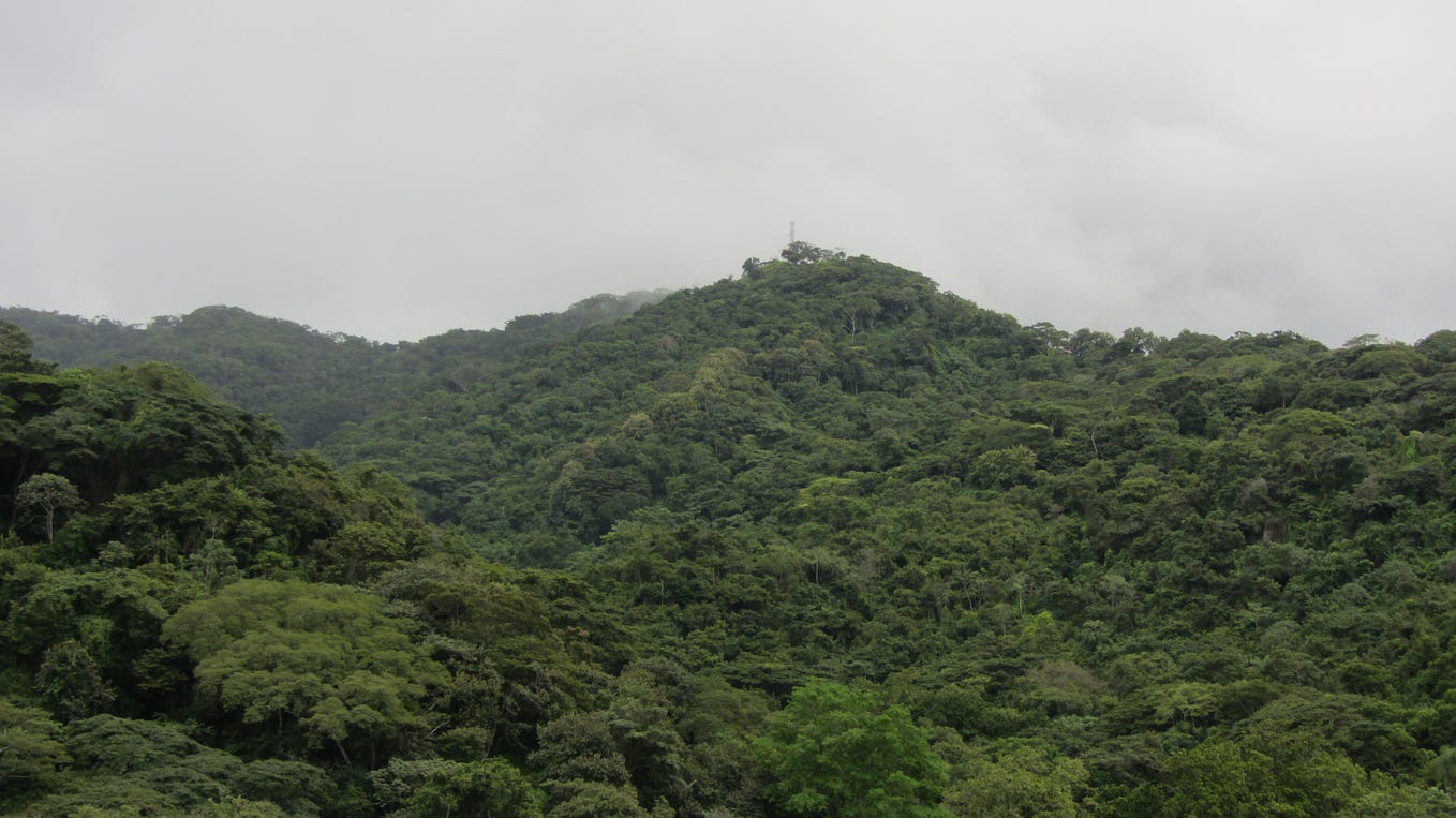 10 METROS. Los metros lo determinan todo. | by Josué Esquivel Retana | Medium