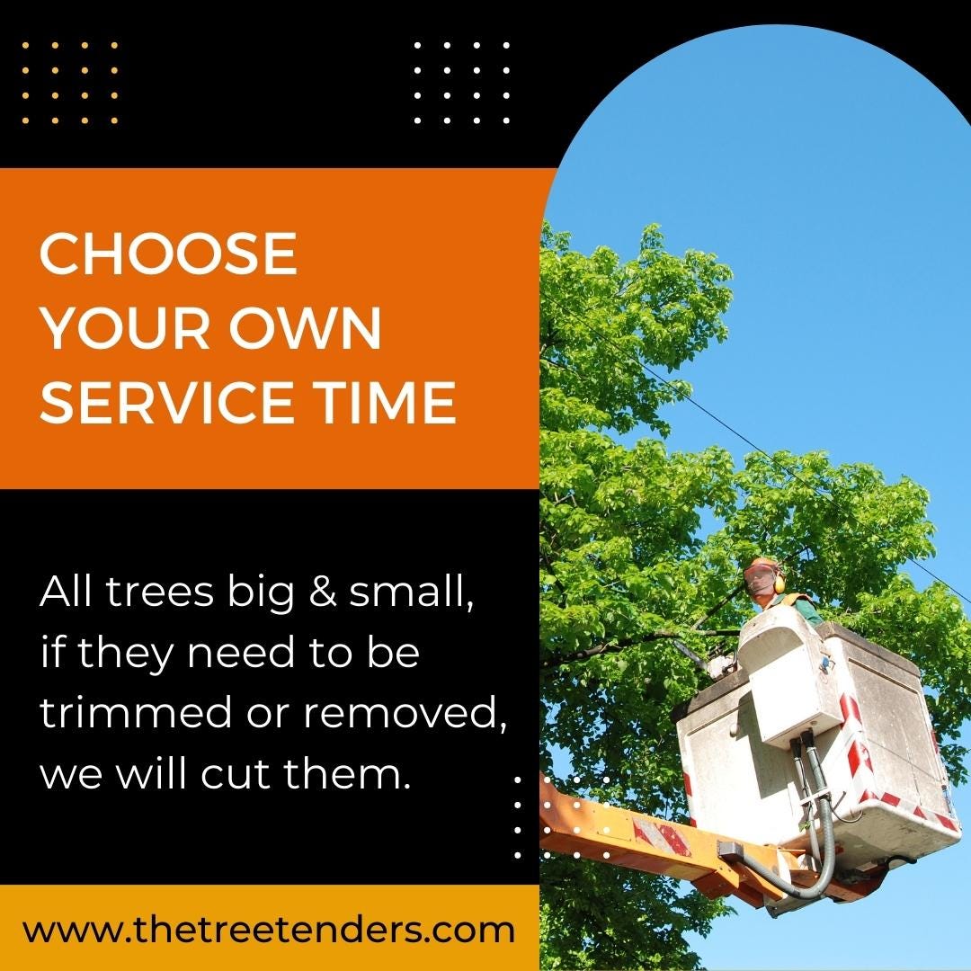 Tree Services — Syracuse, NY. Why Tree Removal Is Necessary | by ...