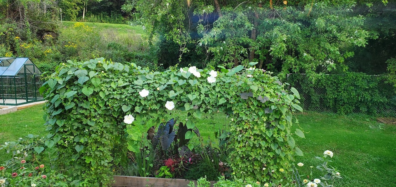 Farewell Urban Us, Hello Third Sphere | by Shaun Abrahamson | Third Sphere | Medium