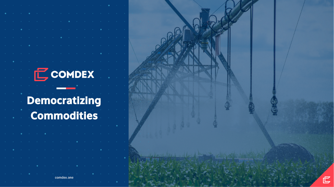 CRODO TOKENOMICS. Token information | by Mfonobong Udo | Medium