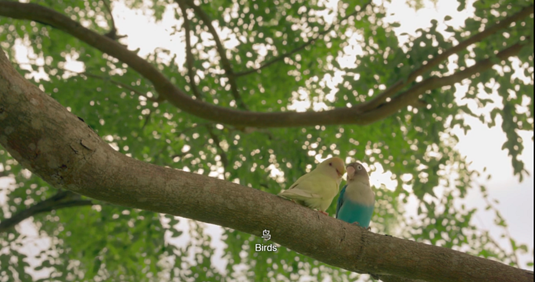 Interview (Part 1): Juliet Giglio and Keith Giglio | by Scott Myers | Go Into The Story