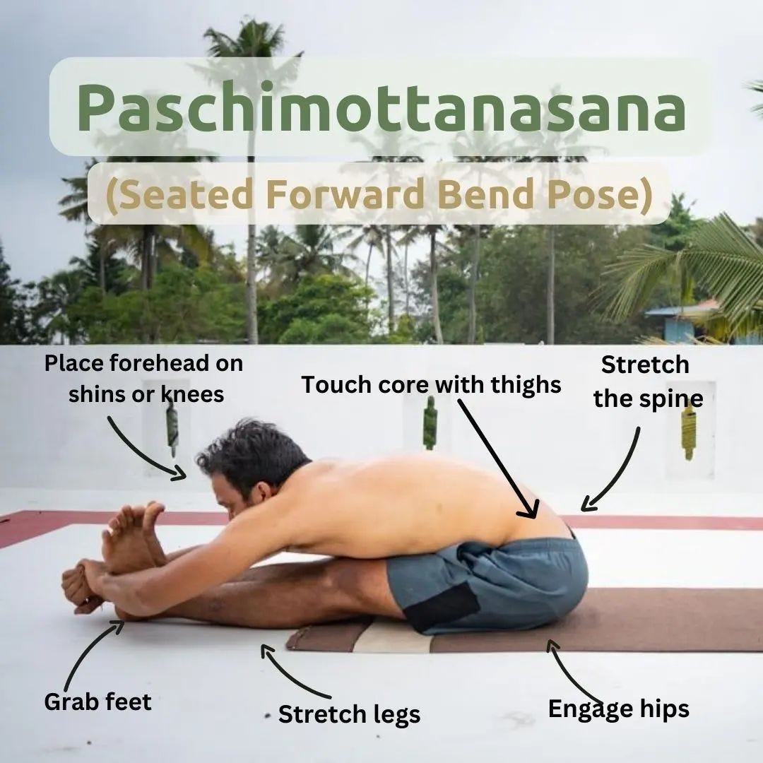 Anatomy & Physiology for Yoga Teachers | by Atharv Yogshala | Medium