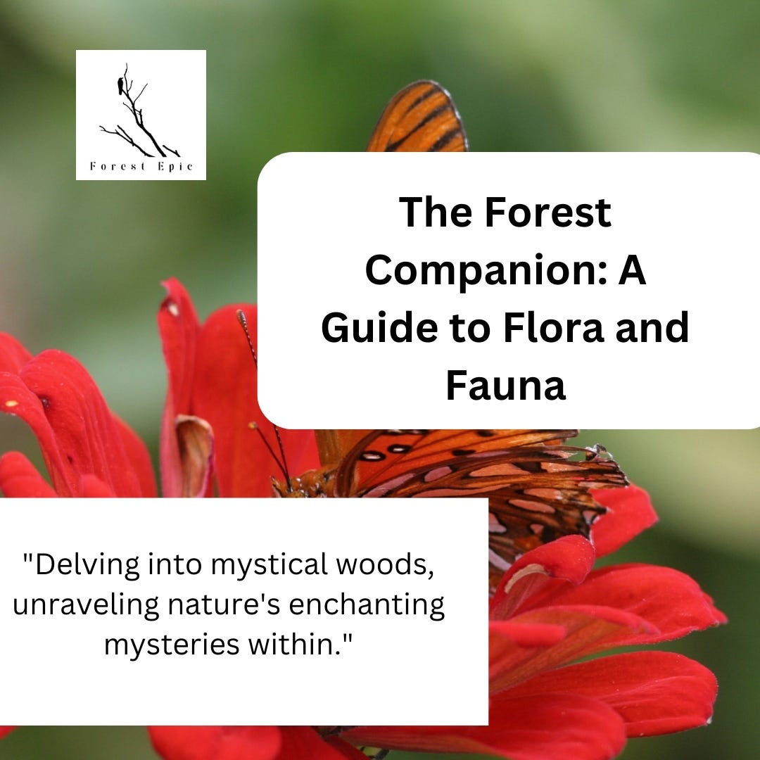 The forest footprints - William S. - Medium
