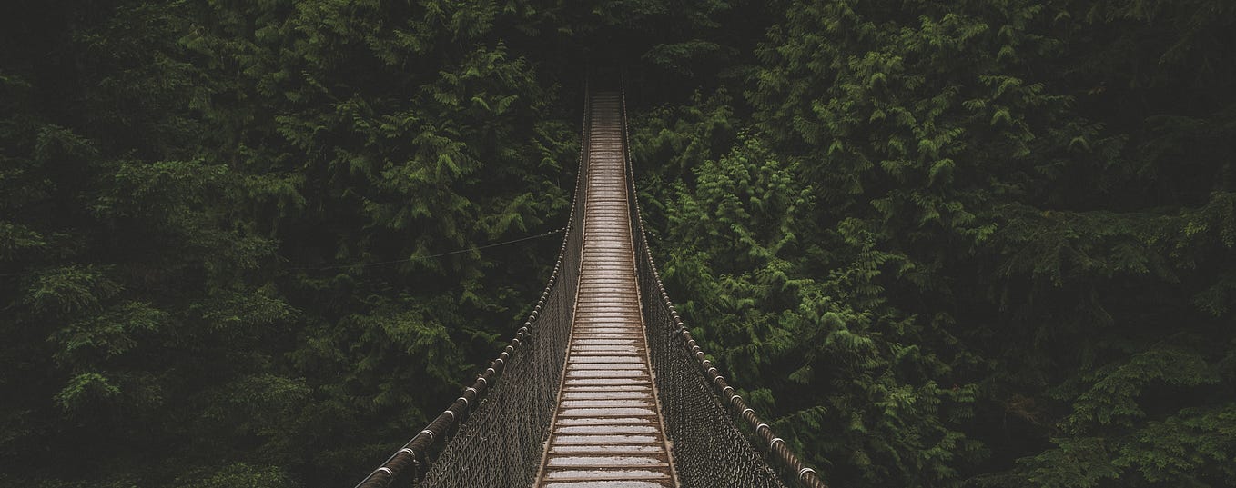 Developing Custom Dropdowns With Vanilla Js And Css In Under 5 Minutes 2143