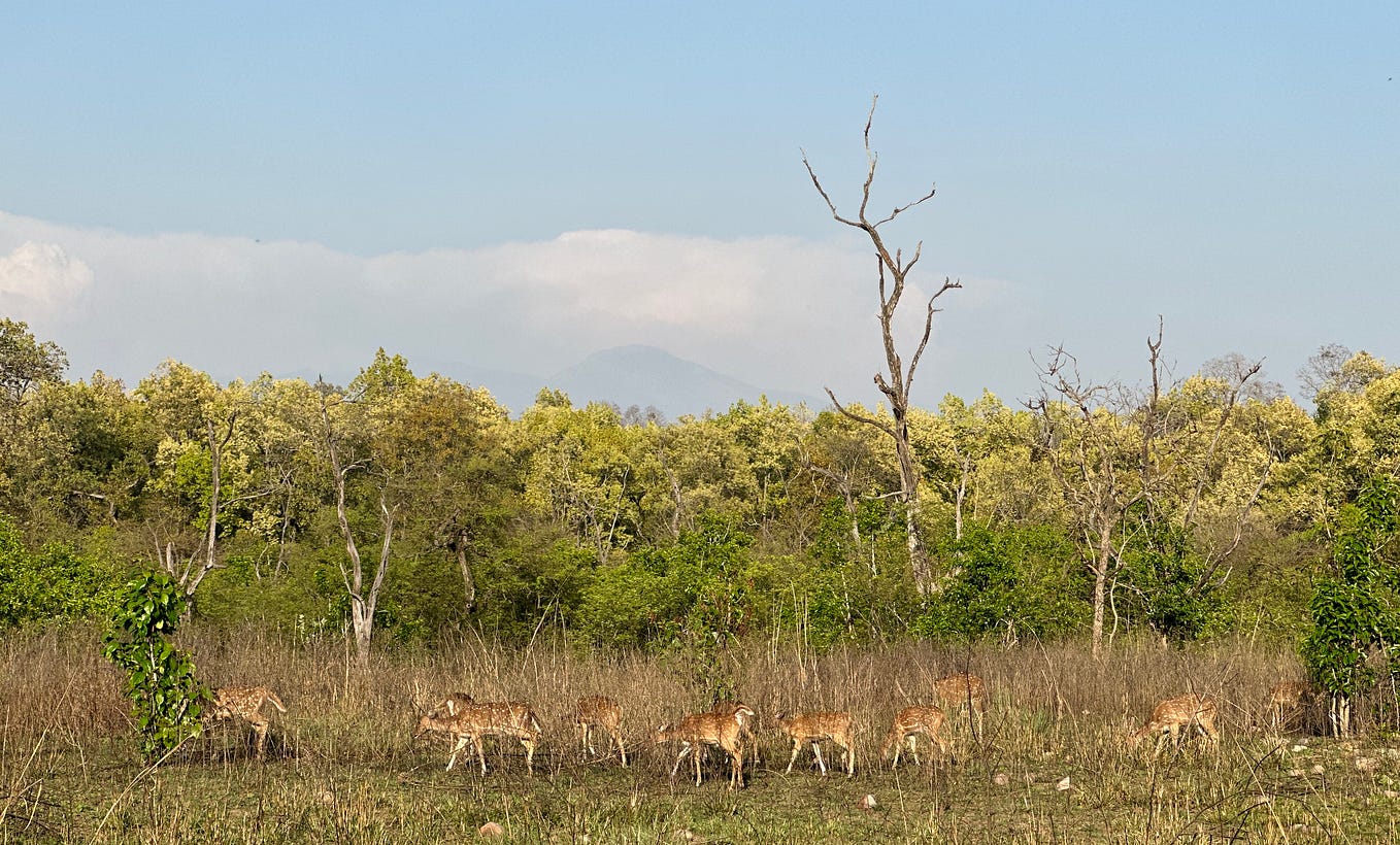 Building Account Abstraction ERC-4337 (Part-2) Execute callData | by Shishir Singh ...