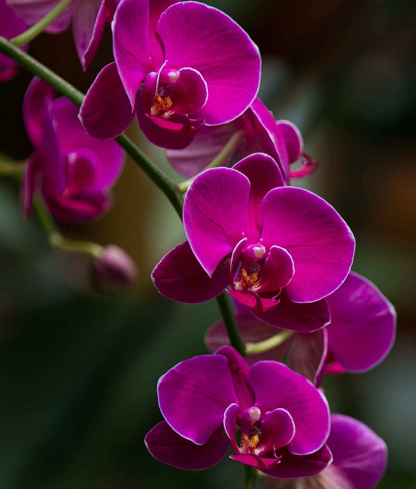 A complete guide to color grading and photography. | by SmugMug | SmugMug