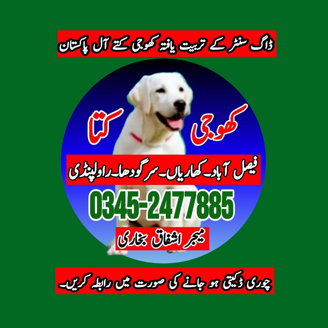 Army Dog Center Okara 03452477885 - Army Dog Center Pakistan - Medium