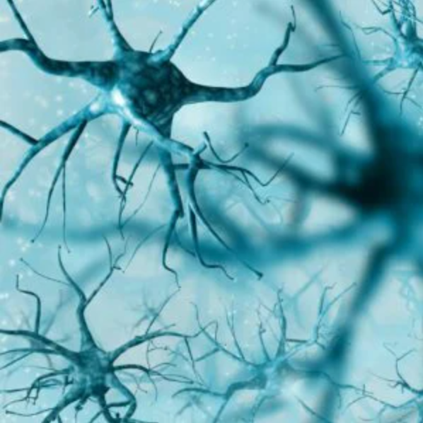ALS Muscle Twitching vs BFS Muscle Twitching: Knowing the Differences ...