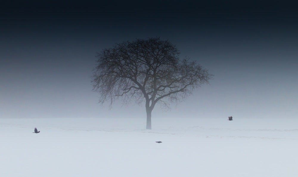 5 Components Of Organisational Change — The Knoster Model | by Saahil ...