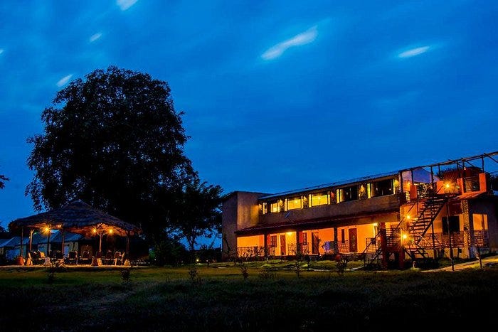 Exploring the Wilderness: Unveiling the Allure of Panna with an ...