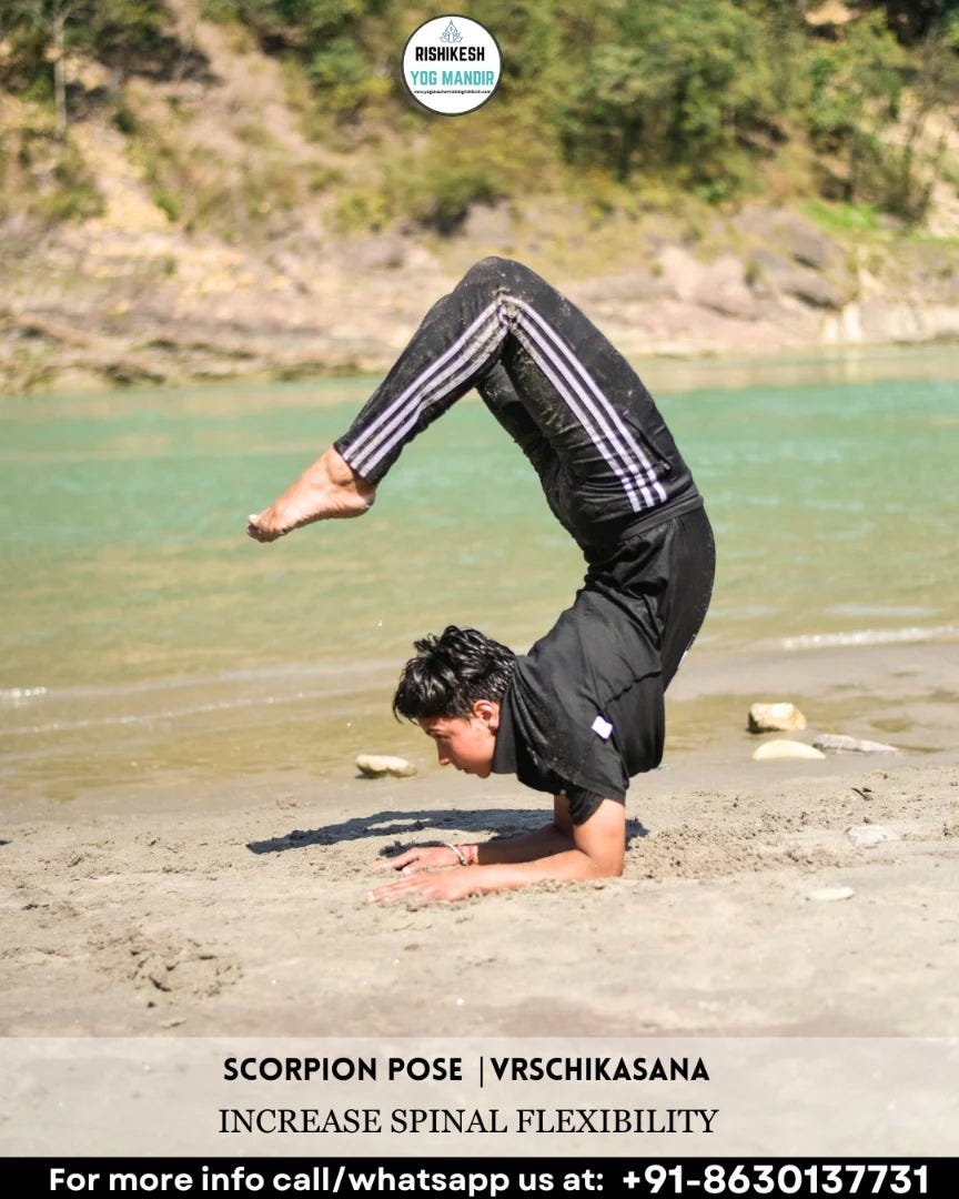 best yoga school in Rishikesh. Rishikesh Yog Mandir stands out as a ...