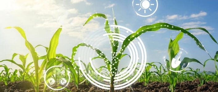 Examples of Code Optimization Techniques in Compiler Design | by Final ...