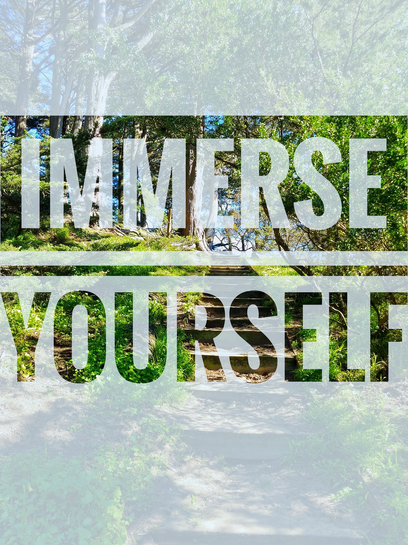 Reality-Plus … Breaking the 4th wall in immersive experiences | by Kat ...