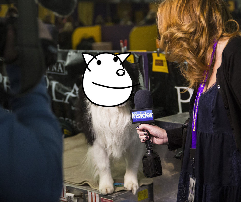 Interview with dog part 4. Reporter — Hello dog, glad to have you… | by ...