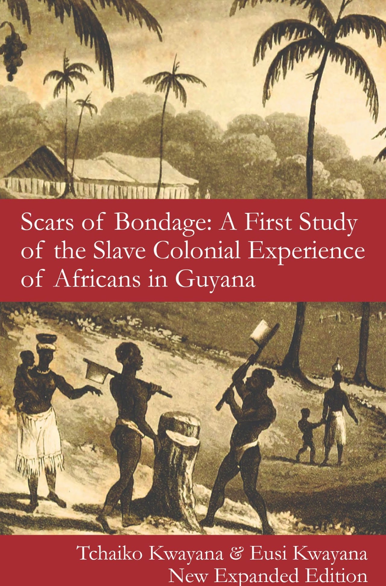 The 1526 Anti-Slavery Rebellion and the Birth of Afro-Indigenous ...