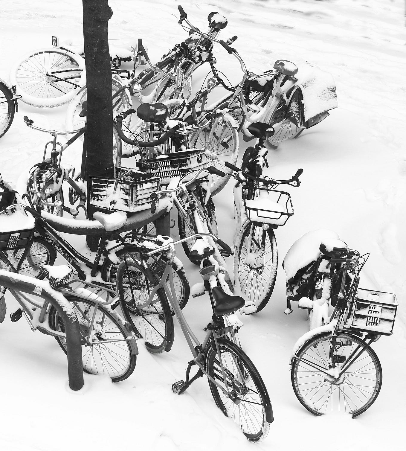 Baby Stroller Walk-By. A poem | by Cappelli, MFA, JD, PhD | The Lark | Medium
