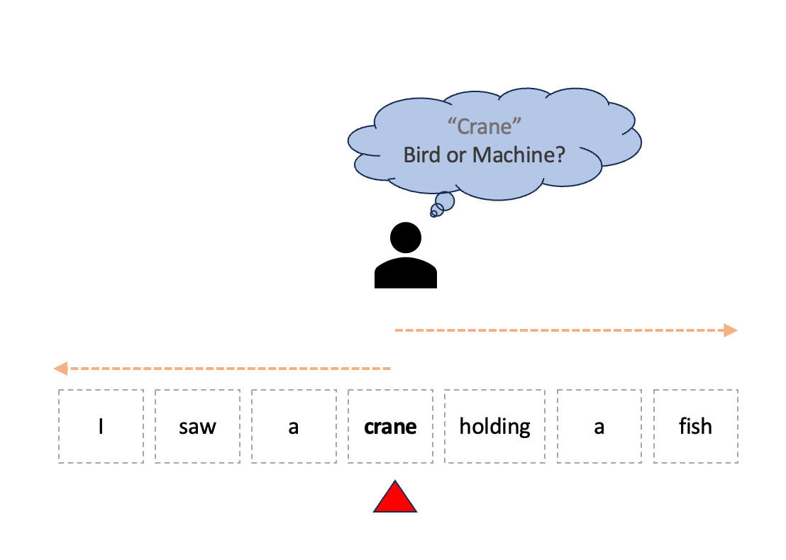 COMPARE & UNDERSTAND: Generative AI and the Human Brain in Everyday ...