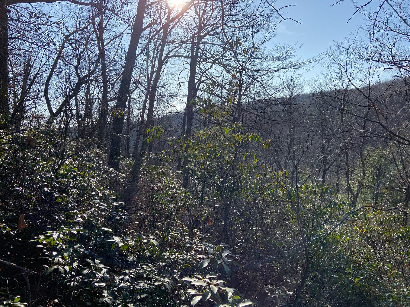 A deep dive into hunting license sales in Pennsylvania. | by Jonathan ...