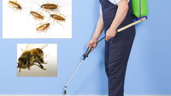 Importance Of Strata Inspection Report | by Besafe Property | Medium