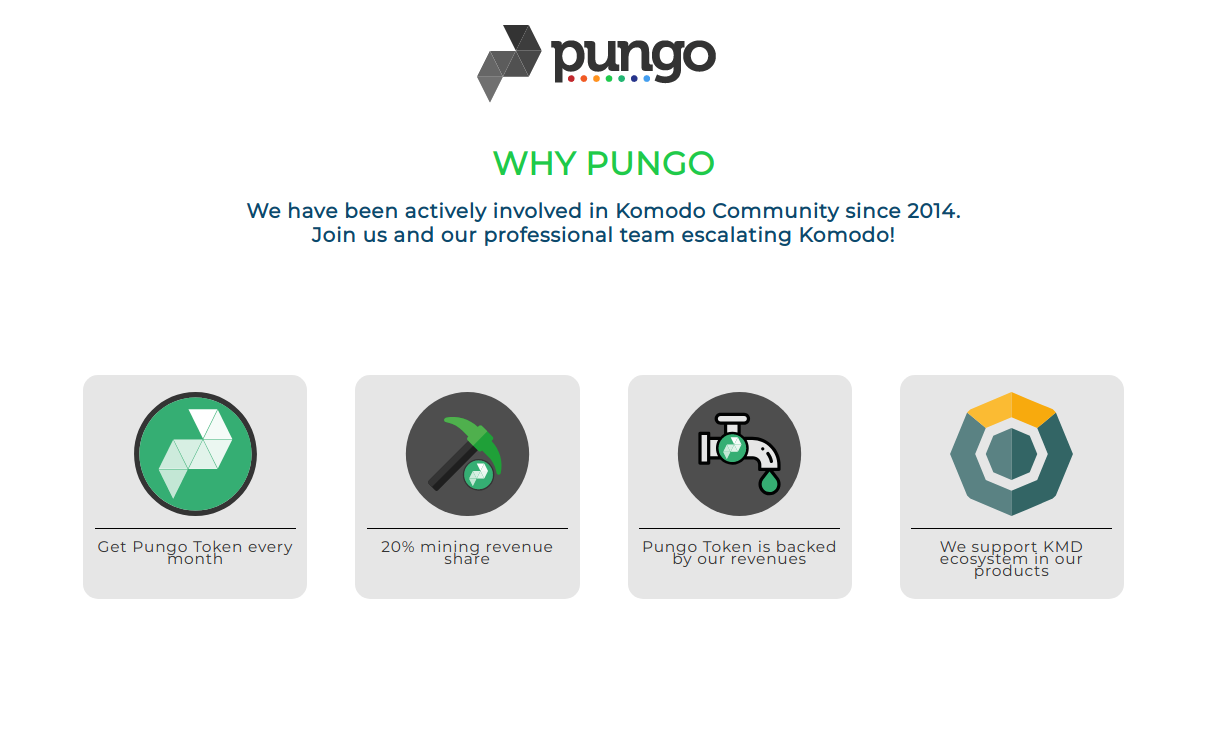 Towards a private, transparent & collaborative startup model | by Pungo ...