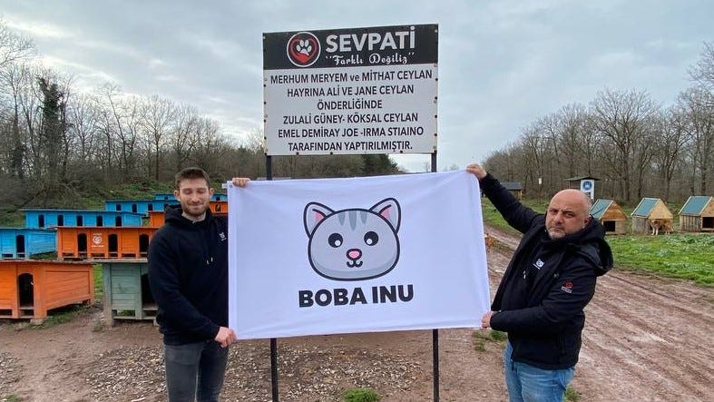 The Birth of BobaCat: How a Tweet Sparked a New Meme Token | by Boba ...