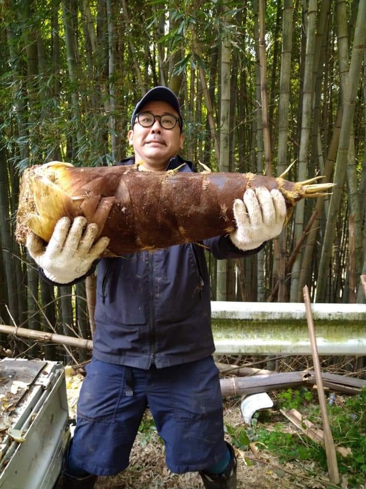 Did You Know? Japan’s Rice History Started in Saga Prefecture! | by omusubi SAGA | Medium