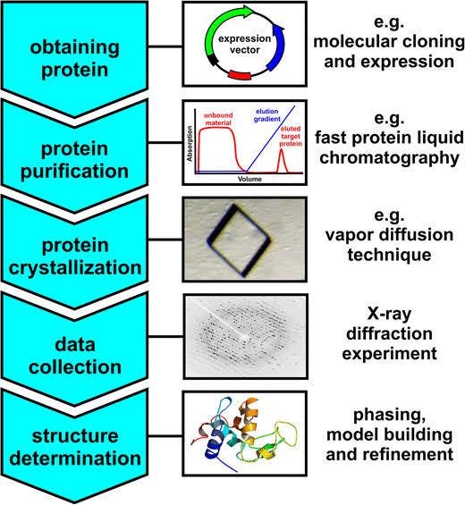 Protein Structure Prediction : A Primer (Part 5) | by Siddhant Rai | Medium Protein Structure Prediction : A Primer (Part 5) | by Siddhant Rai | Medium