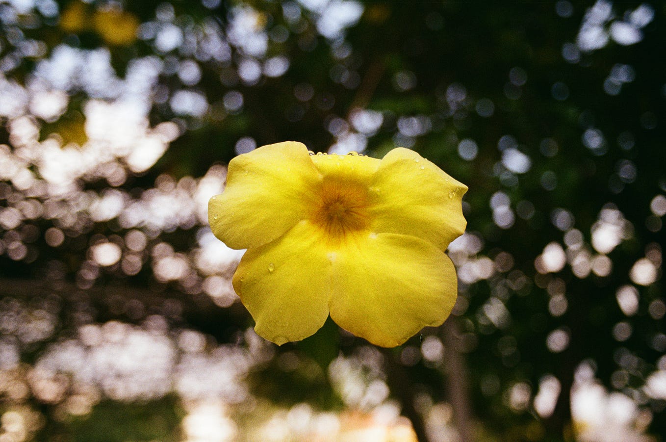 The Majestic -426,5 ft. The Creeps Nowadays: Potholing | by wanderflo | Medium