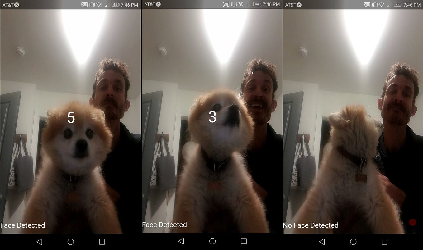 How to quickly generate a random gallery of images from an unsplash collection in javascript ...