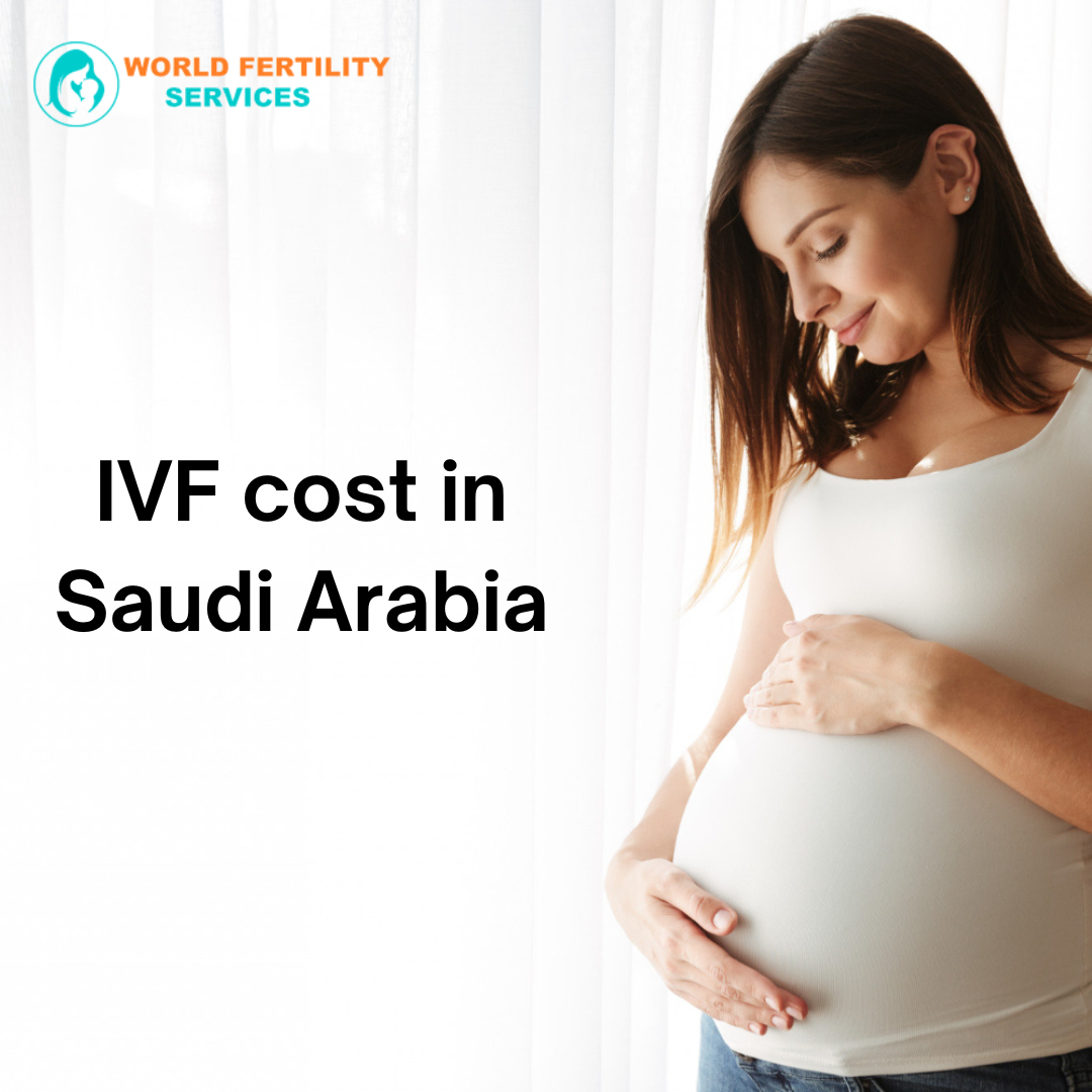 How Much Does IVF Cost in Chennai- World Fertility Services ...
