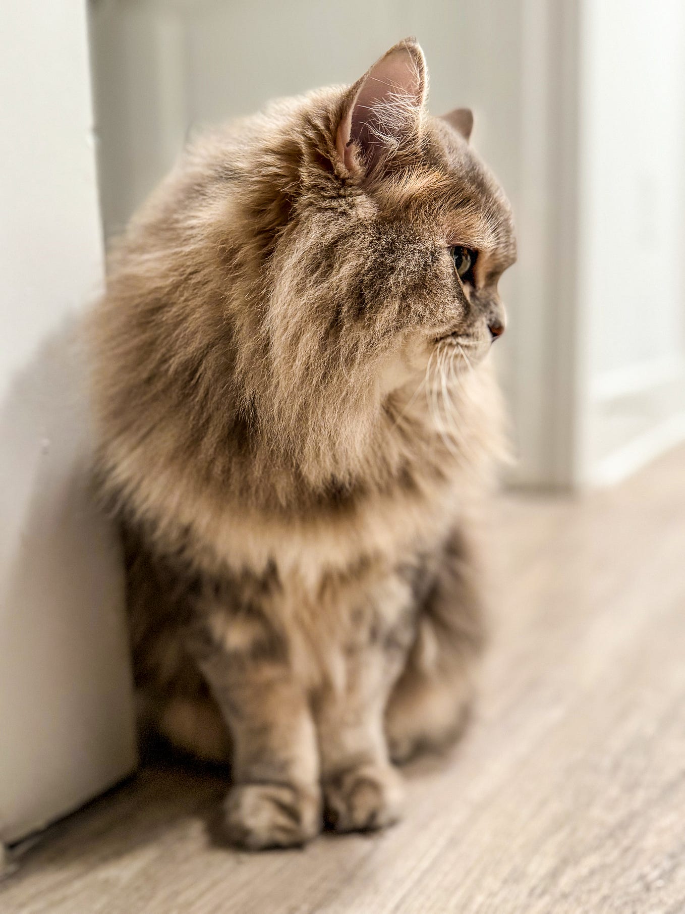 Use Python And Bulk Insert To Quickly Load Data From Csv Files Into Sql Server Tables By Randy