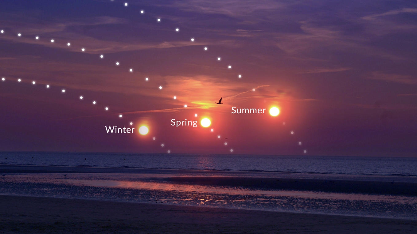 The Summer Triangle: Vega, Deneb and Altair | by Star Walk | Medium