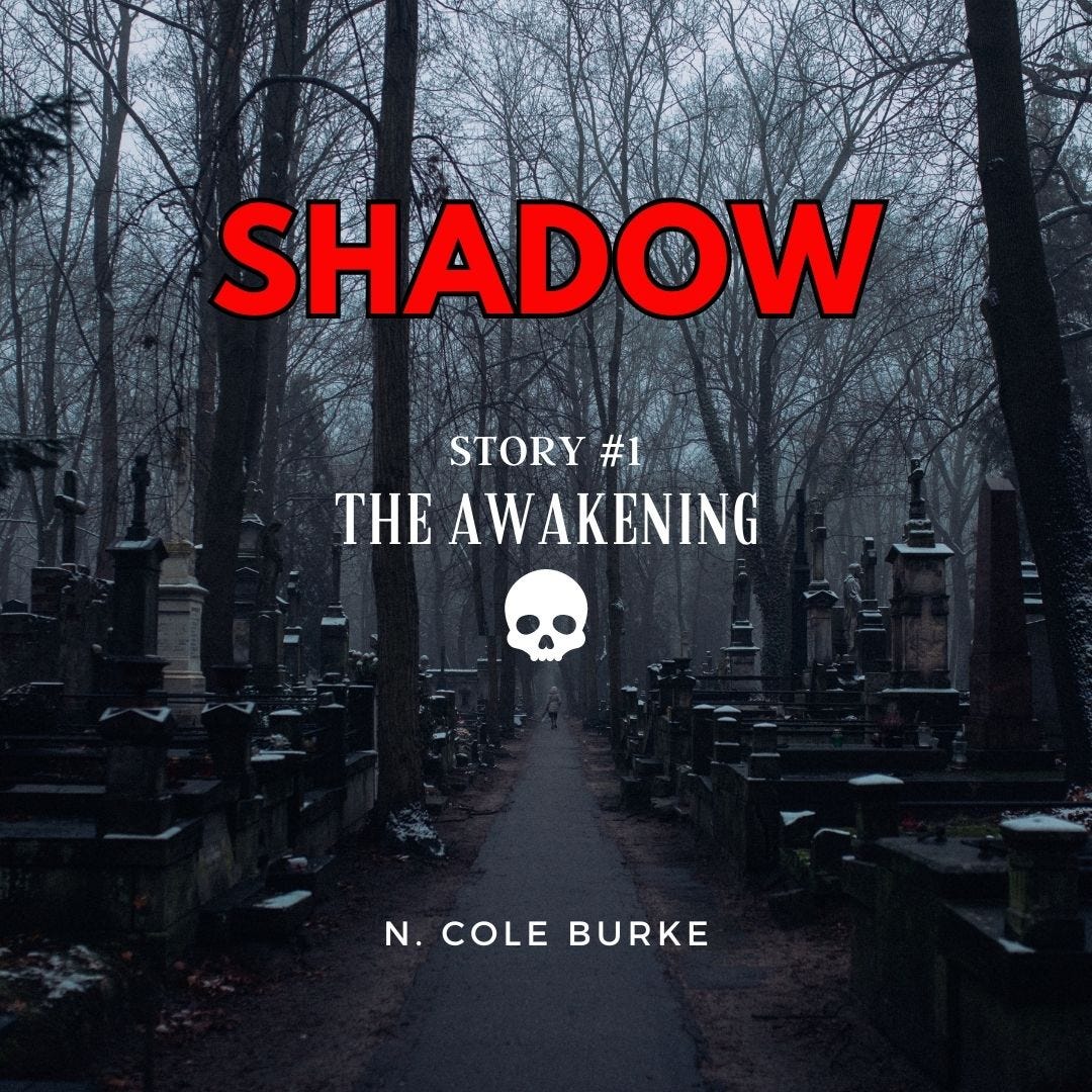 Shadow — The Conqueror Collection : The Awakening (Part 4) | by N.Cole ...