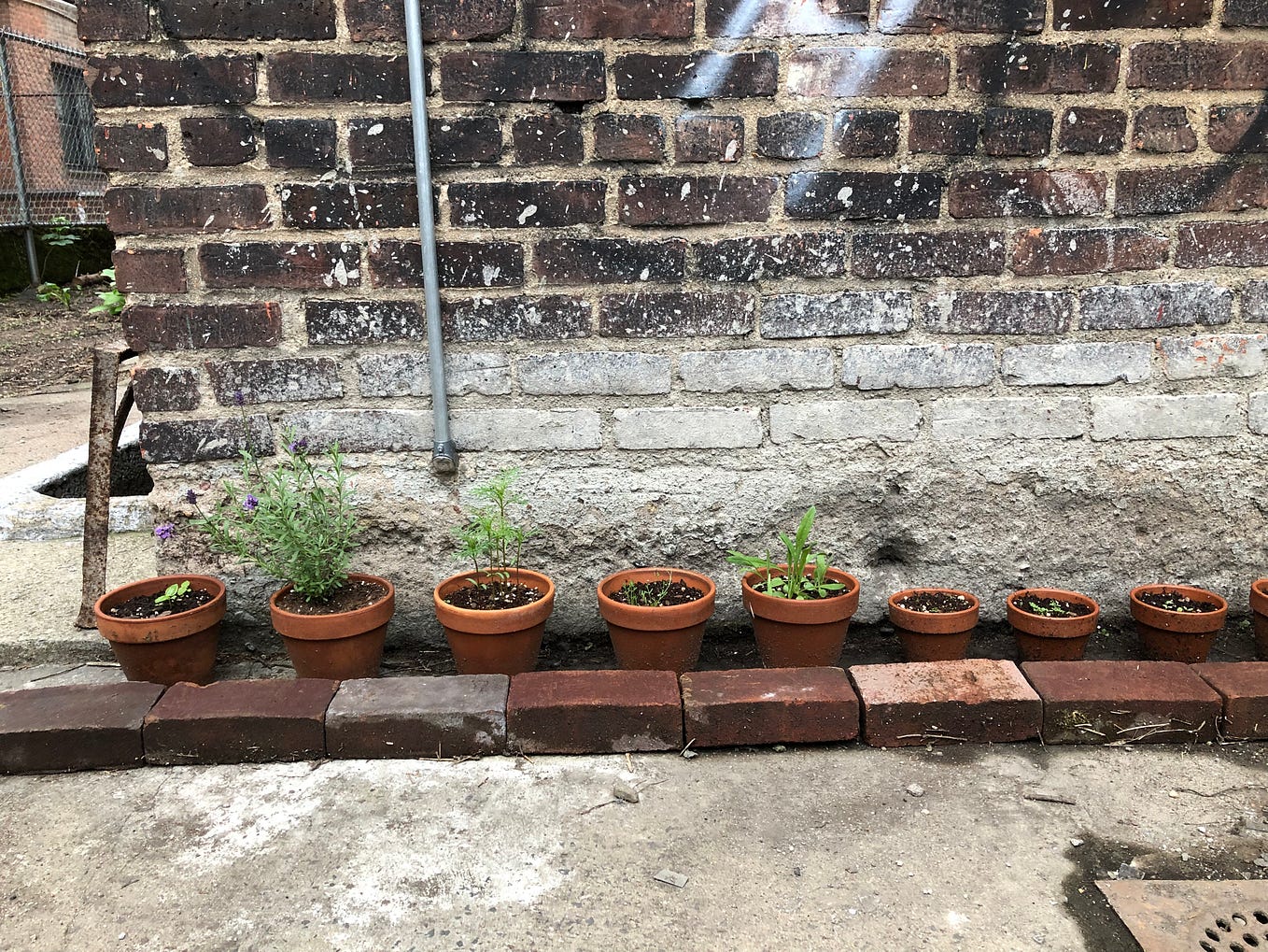 Time and Greetings in a JavaScript Function | by Carlie Anglemire | Medium