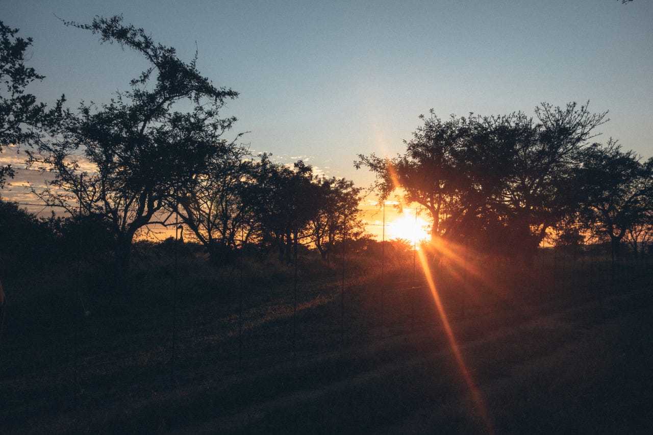 Adam,. Being was an awesome app. We’re also… | by John Leonard De ...
