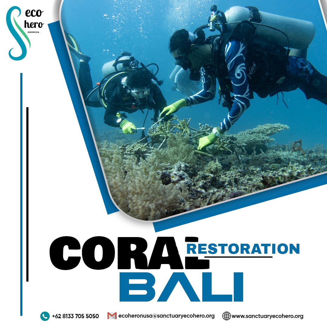 Ocean Conservation Indonesia - Eco Hero Nusa - Medium