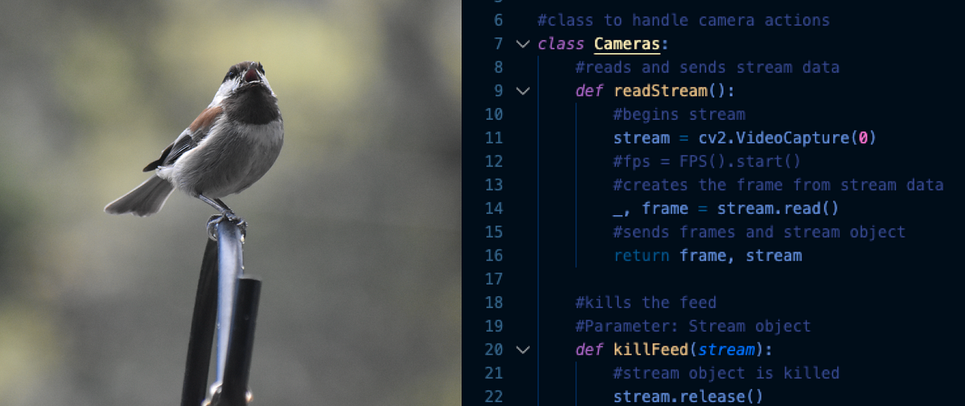 OpenCV Basic and Useful Tools: Cropping (Python) | by Arthur K Jakobsson | Analytics Vidhya | Medium